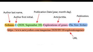 Comparison Charts for APA, MLA, and CMS References - ProofreadingPal